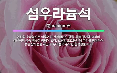 🌟섬우라늄석 이산화 우라늄으로 이루어진 산화酸化 광물 등축 정계에 속하며 검은색의 금속 비슷한 광택 표준국어대사전