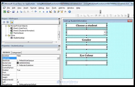 Excel Vba Worksheet Function