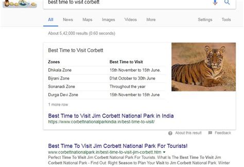 What Are Google Snippets