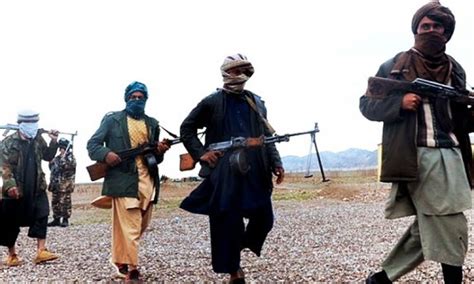 Resurgent Taliban Take First Provincial Capital Kill Afghan Govt