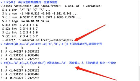 R的datatable常用操作r语言设置datatable的列名 Csdn博客