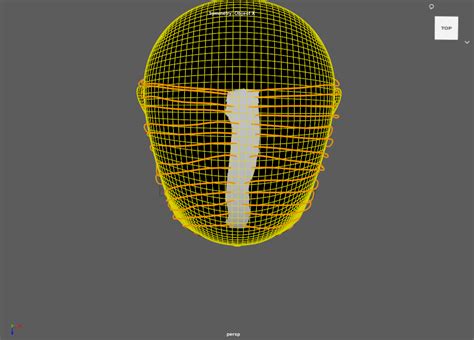 Solved Xgen Hair Doesnt Follow Guides Properly Autodesk Community