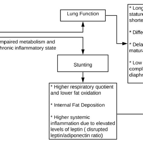 Stunting And Restrictive Lung Function Fvc Download Scientific Diagram