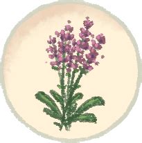 分享一个手绘风格骰子旋转动画实现思路 Spine Ps Blender 无脸怪怪怪 站酷ZCOOL