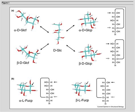 Figure From Carbohydrate D Structure Validation Semantic Scholar
