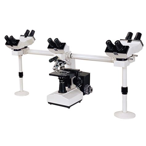 Wholesale Bs 2030mh4a Multi Head Microscope Manufacturer And Supplier Bestscope