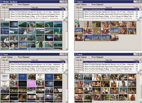 Examples Of Detected Visual Semantic Entity The Upper Left Is Water Download Scientific