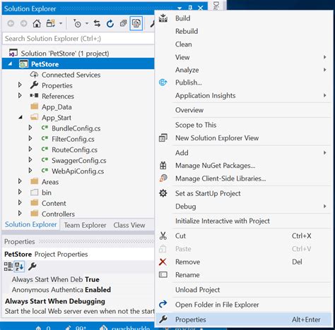 Embed Swagger Ui Into Existing Net Apis