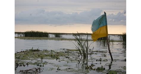 Украйна е унищожила 14 от изпратените през нощта 17 дрона от Русия