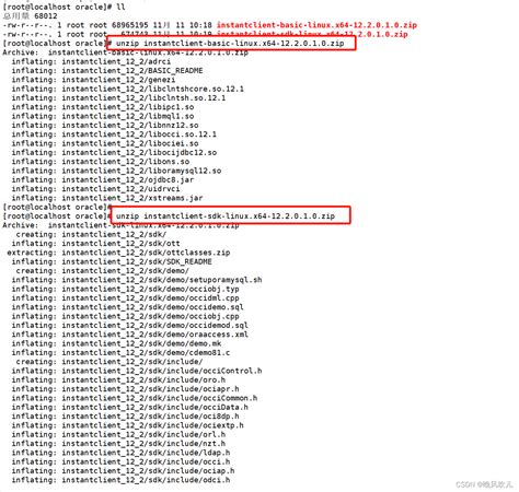 Linux下安装cxoracle，连接oracle数据库cxoracle Linux版本 Csdn博客