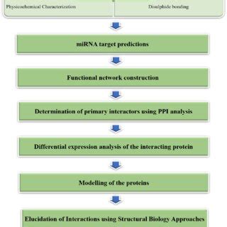 Workflow Of The Project Download Scientific Diagram