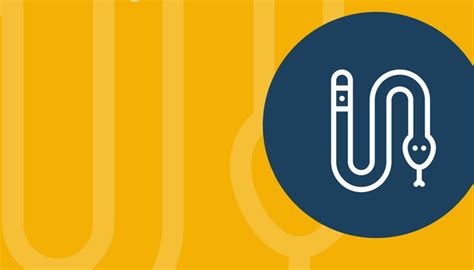 Python Web Development With Django And Flask Getting Started