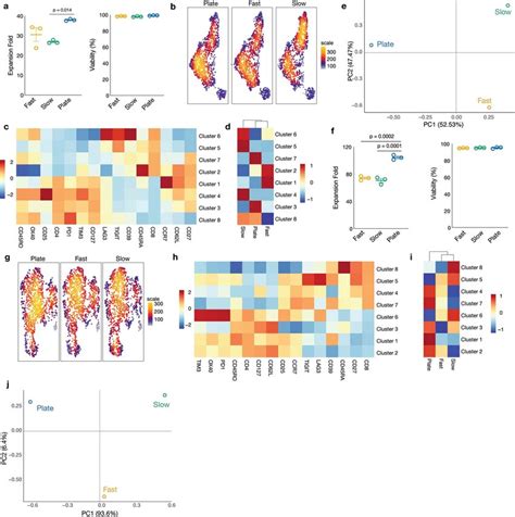 T Cell Phenotypes Persist After They Are Harvested From Matrices T Download Scientific Diagram