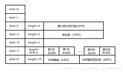 网络 Tcp报头中的选项字段 Csdn博客