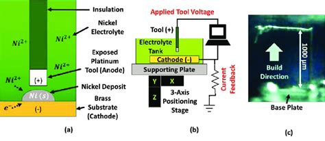 Schematic Of Ecam Setup A Detail Of Localized Electrochemical Download Scientific Diagram