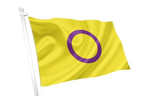 Intersex Pride Flag Flags Ireland Prospect Design