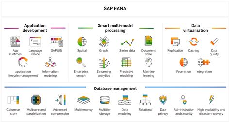 SAP HANA Das Aktuellste ERP System Von SAP Wrede