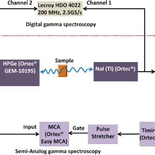 Schematic Of The Digital And Semi Analog Data Acquisition System For Download Scientific