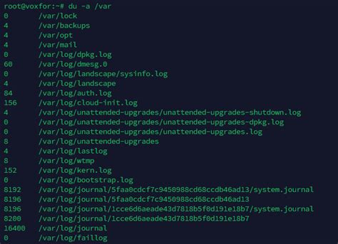 How To Check Directory Sizes In Linux