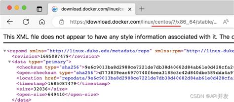 Openeuler 2203 Lts Sp1安装最新版docker（踩坑及解决方案）openeuler Docker Csdn博客