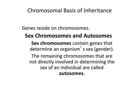 PPT Chromosomal Basis Of Inheritance PowerPoint Presentation Free Download ID