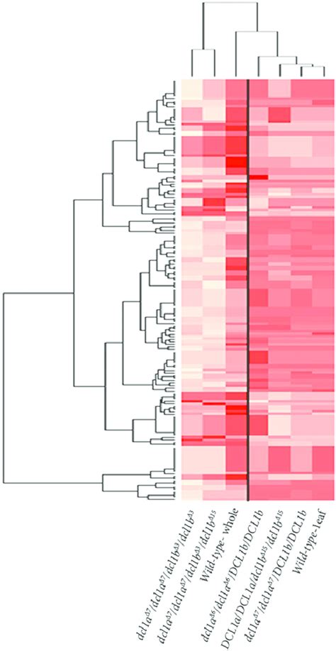 Small Rna Sequence Profiling Of Mirna Accumulation In Single And Double Download Scientific