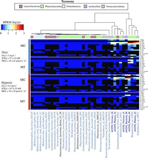 Metagenomics And Metatranscriptomics Reveal Broadly Distributed Active Novel Methanotrophs In