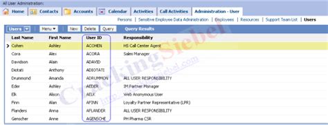 Siebel Party Model What Is A User Cracking Siebel