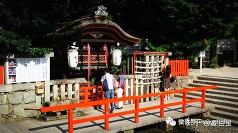 「遊ぶ」最妖艳的夏颜——糺の森中の下鸭神社 知乎