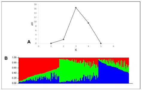 a Δk graphic representation of each k value group based on the 10
