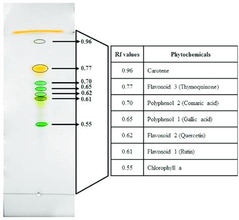 Thin Layer Chromatogram Of Ag Extract The Aqueous Extract Of Ag