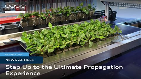 Step Up To The Ultimate Propagation Experience