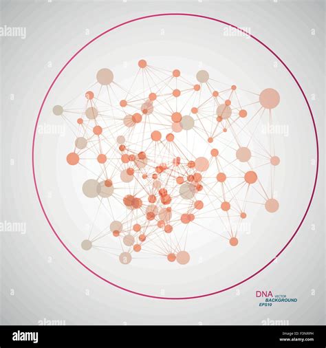 Vector Network Connection And Dna Eps10 Stock Vector Image And Art Alamy
