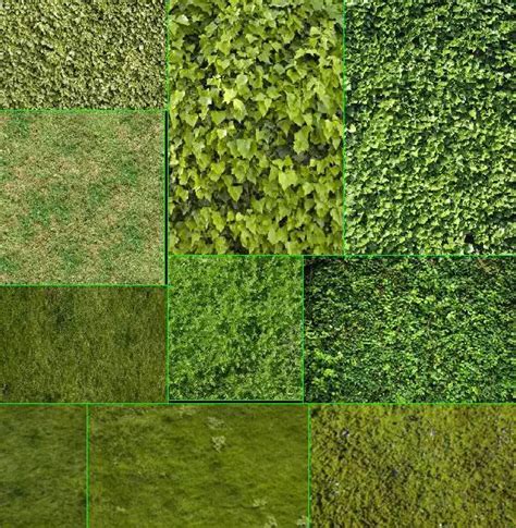 Grass I Vegetation Textures In Bmp Cad Library