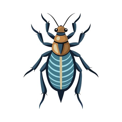 Sitophilus Granarius Engaging Design 58982531 Vector Art At Vecteezy