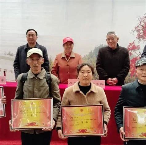 永新县第十九次乡（镇）村农村门球赛圆满收杆比赛老年人文竹镇