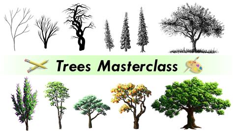 Learn To Draw Paint ANY Tree Full Masterclass With Exercises Duplo Skillshare