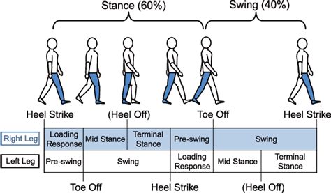 Figure 8 From A Precise Gait Phase Detection Based On High Frequency Vibration On Lower Limbs