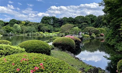 Publications Janet Borland