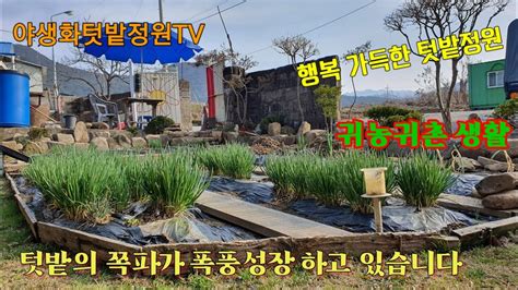 시골집 정원의 텃밭 Youtube
