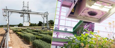 Field Scale Digital Phenotyping Chap