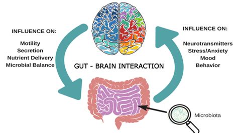 Dgbi Disorder Of Gut Brain Interaction Functional Digestive Problems