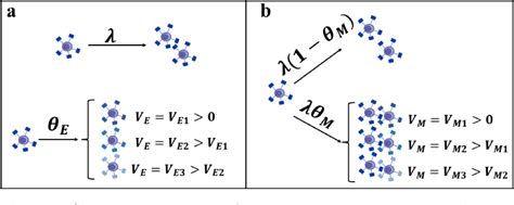 Figure 2 From A Stochastic Individual Based Model To Explore The Role