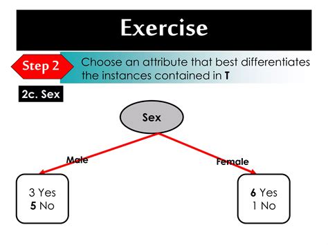 Decision Tree Using C45 Algorithm Ppsx