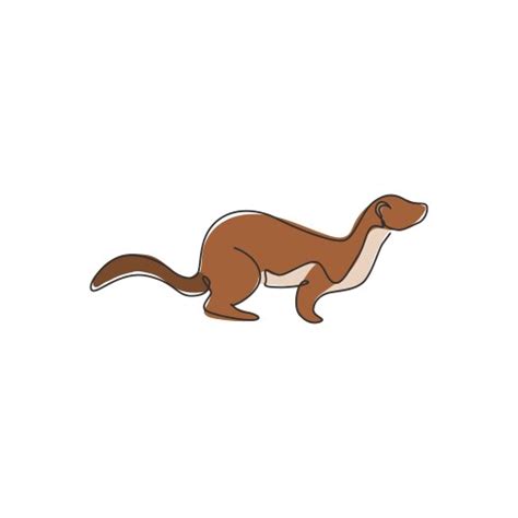 Single One Line Drawing Cute Weasel Royalty Free Vector