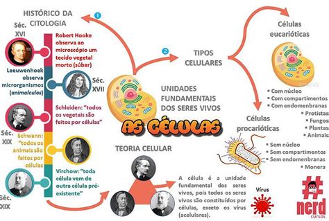 Mapas Mentais Biologia Teoria Celular Mapas Mentais Citologia