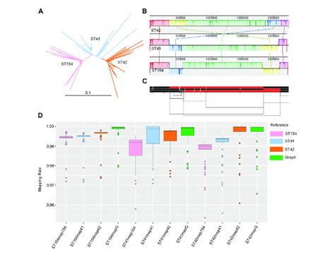 Pangenome Graph Of 3sts N Meningitidis Genomes A Phylogenetic Download Scientific Diagram