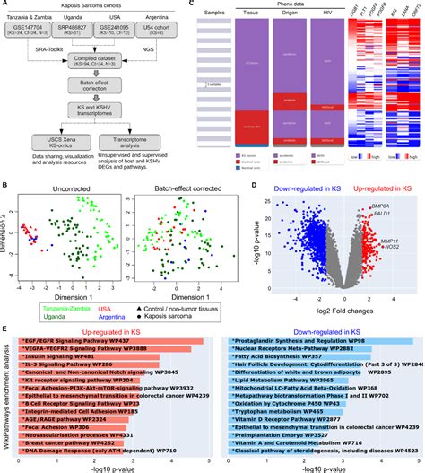 Integrative Functional Genomics Analysis Of Kaposis Sarcoma Cohorts