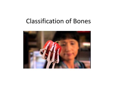 Ppt Classification Of Bones Powerpoint Presentation Free Download Id 3998329