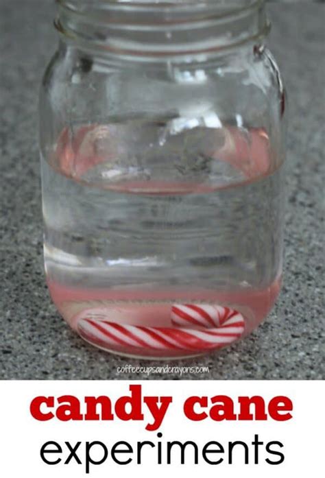 Dissolving Candy Cane Science Experiment